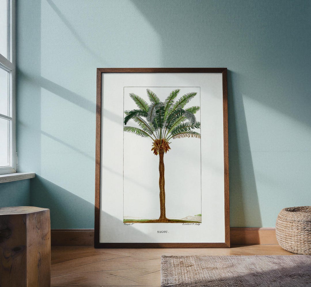 Sagou Palm Botanical Plate | Flore Médicale 1830s | Antique Palm Tree ...