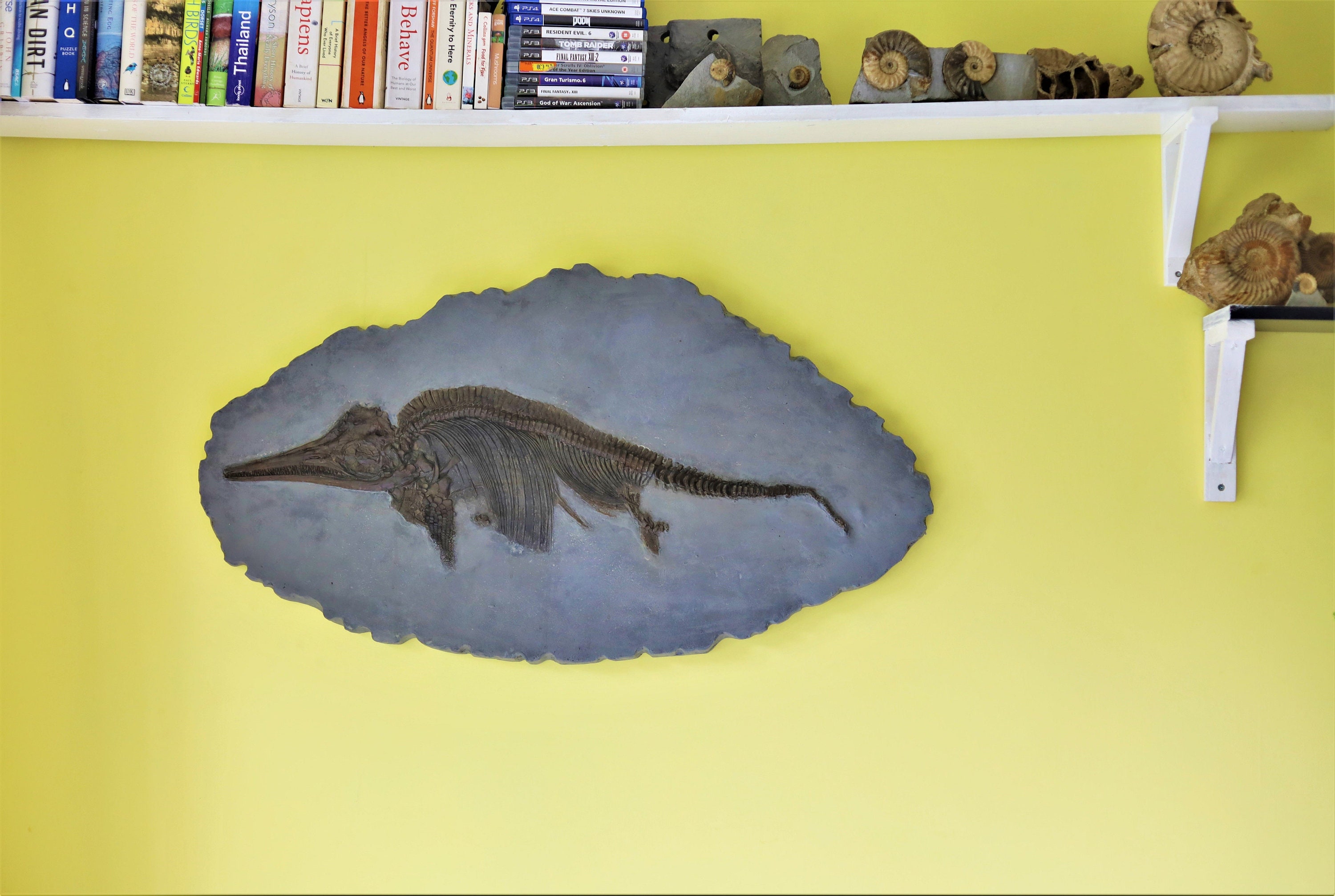 Replica Juvenile Ichthyosaur ichthyosaurus Communis Fossil From Lyme ...