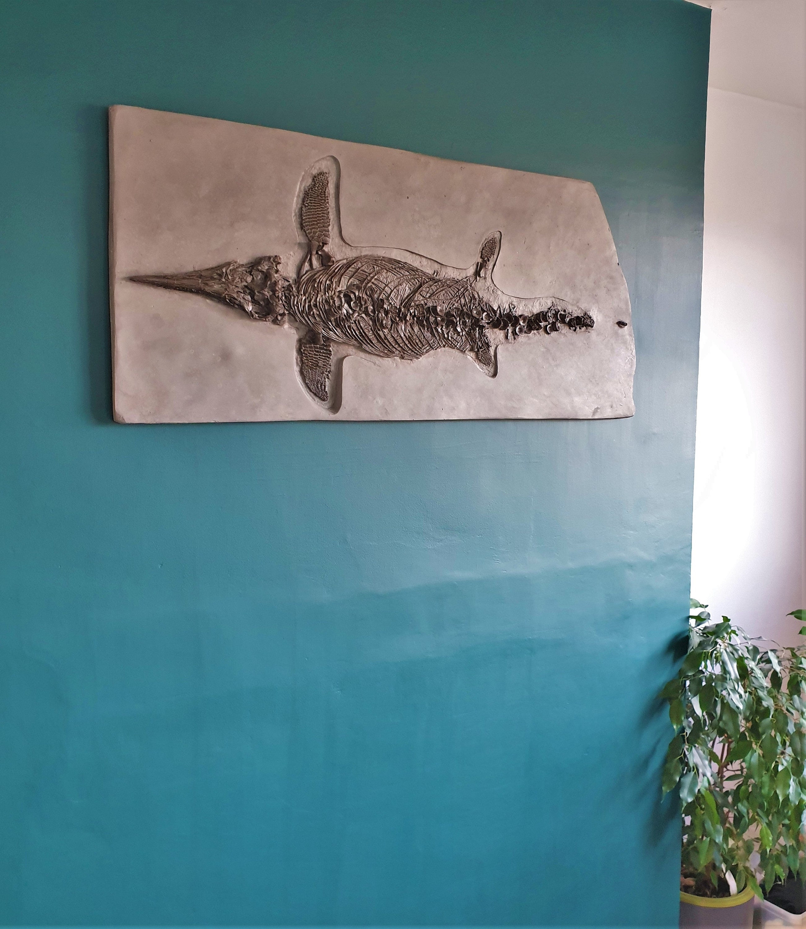 Replica Prone Ichthyosaur ichthyosaurus Communis Fossil From Lyme Regis ...