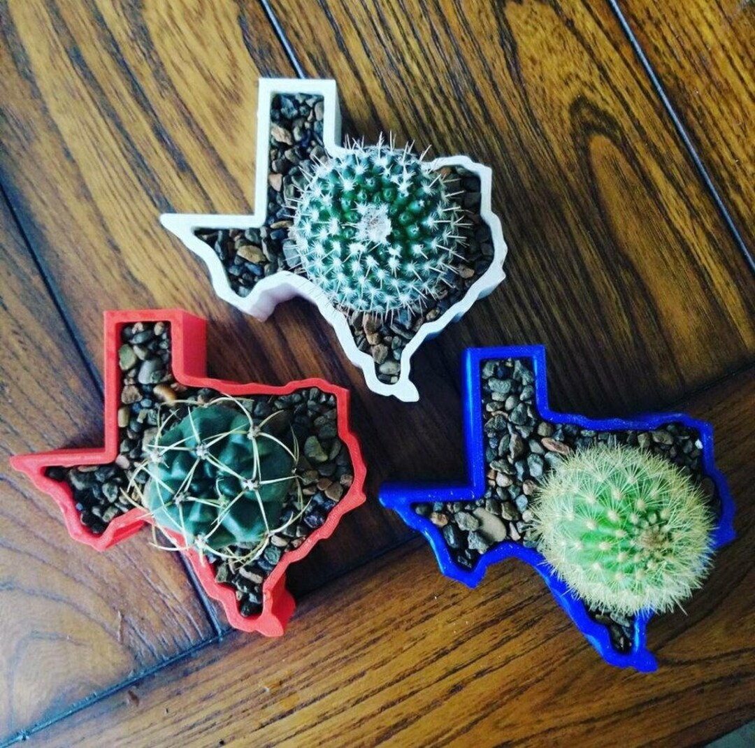Texas Shaped Planter Pot | Succulent Planter | Cactus Planter | Home ...