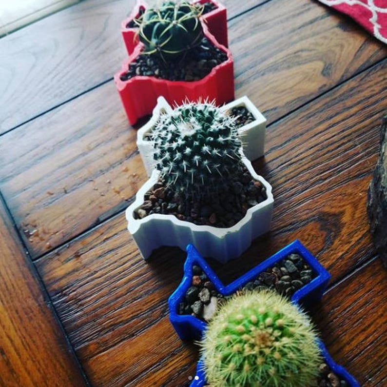 Texas Shaped Planter Pot | Succulent Planter | Cactus Planter | Home ...