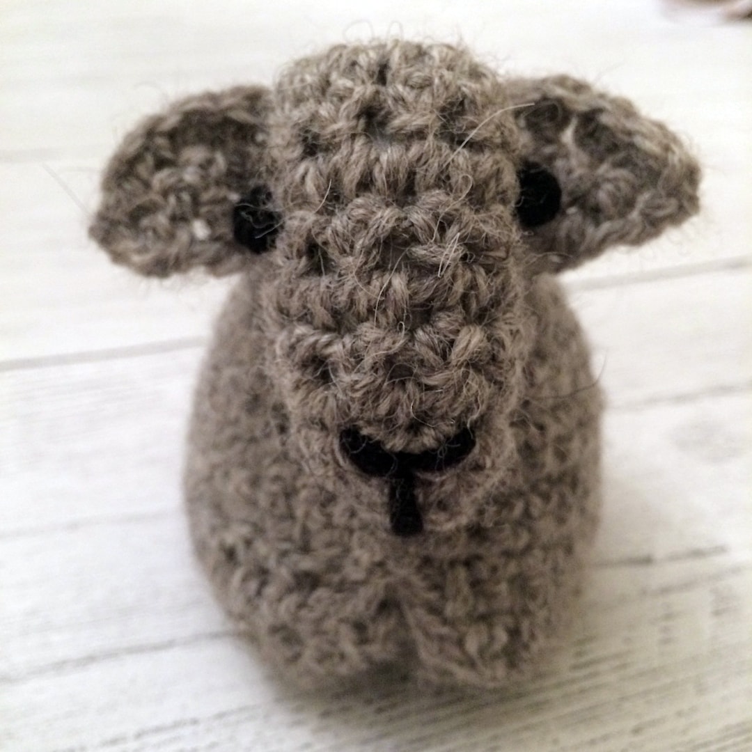 Sean the Sheep: Easy Crochet Pattern for Beginners - Etsy