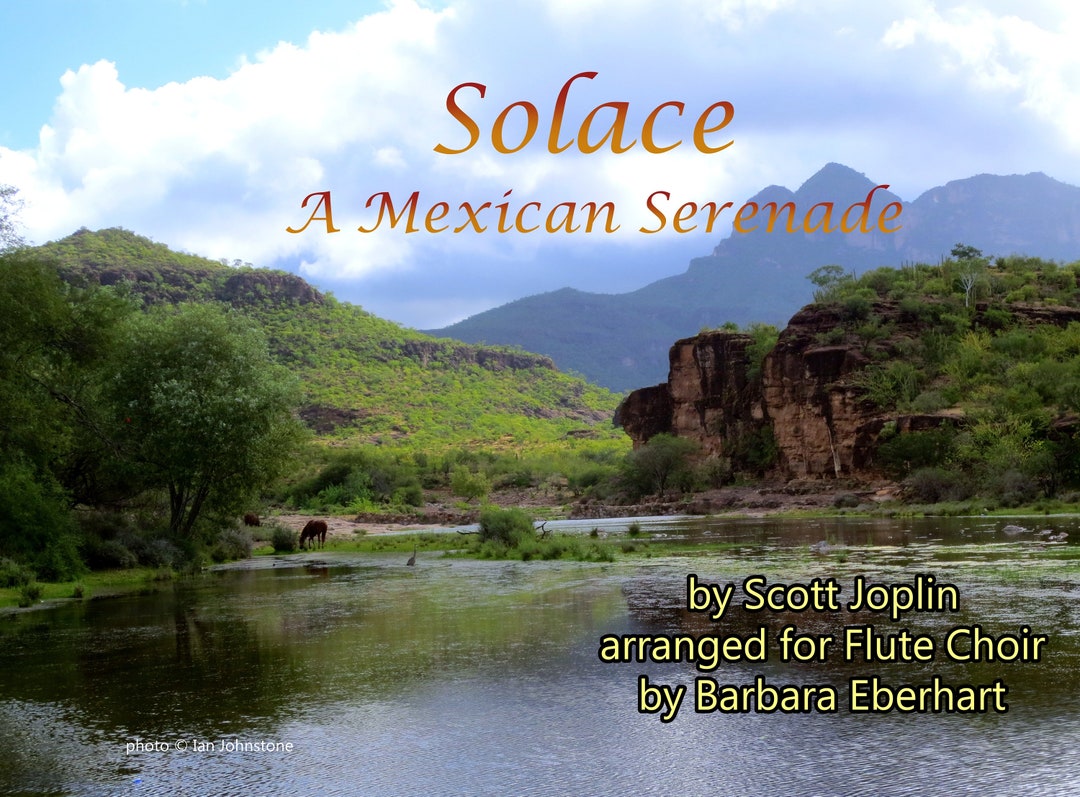 Solace for Flute Choir - Sheet Music Digital Download - Etsy