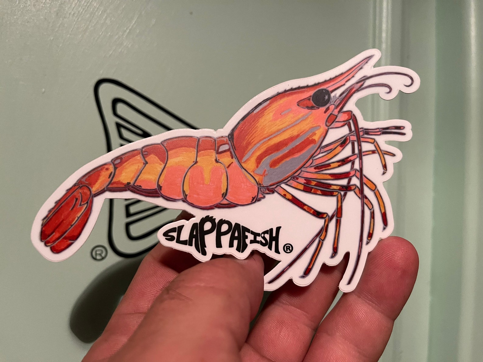 Shrimp Sticker 5 Inch | Etsy