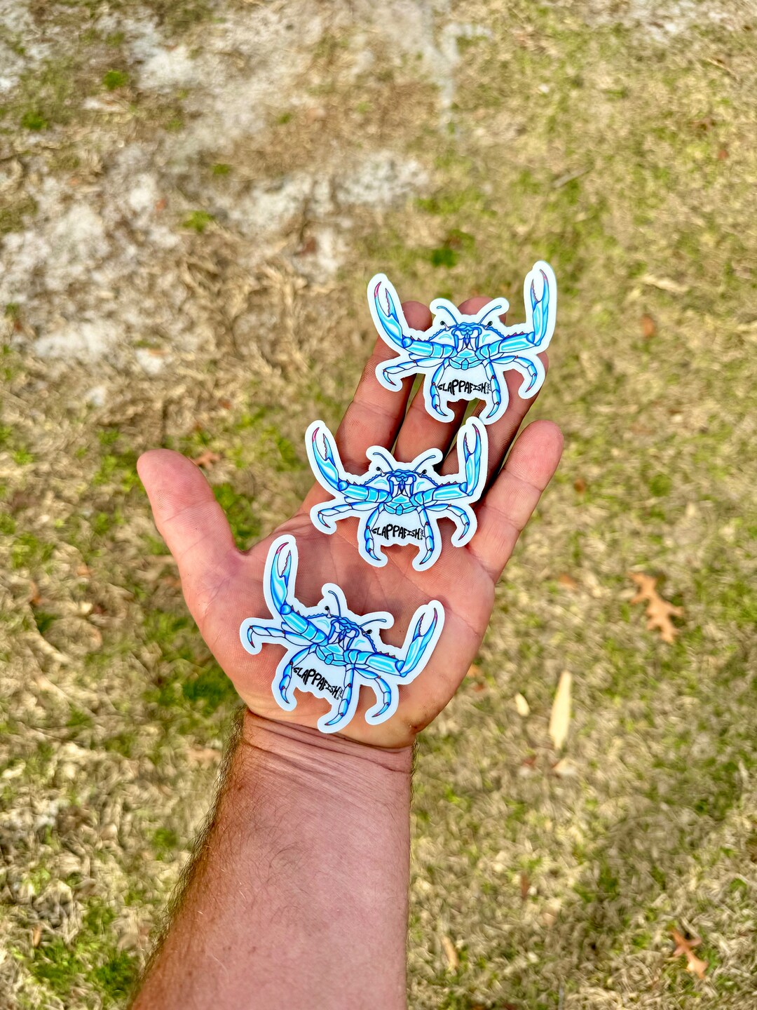 Blue Crab Stickers, 3 Inch (pack of Three) - Etsy