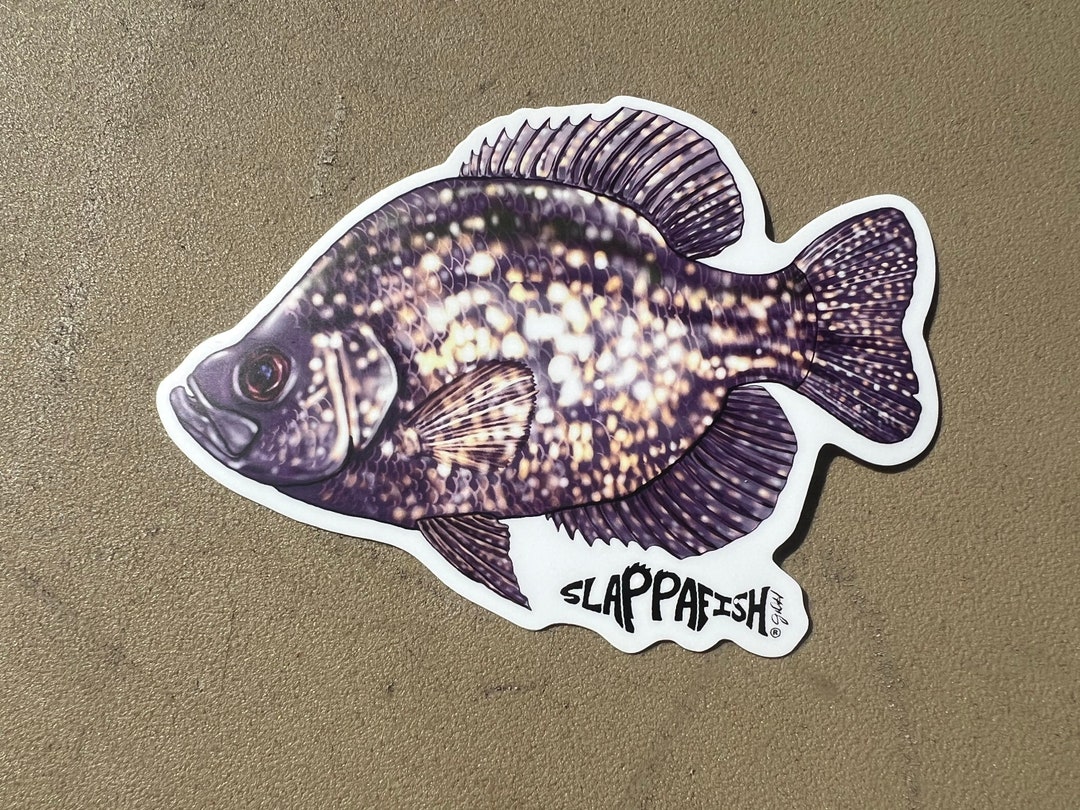 Crappie Sticker, 5 Inch - Etsy