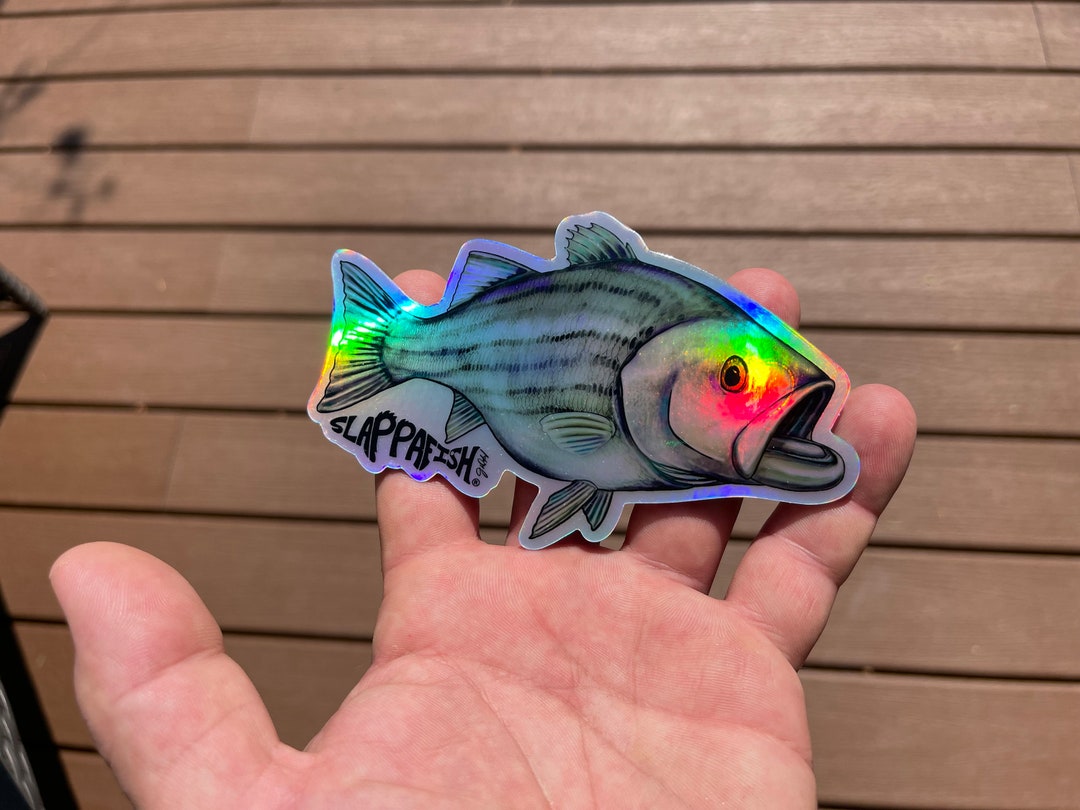 Striper Sticker (shiny), 5 Inch - Etsy