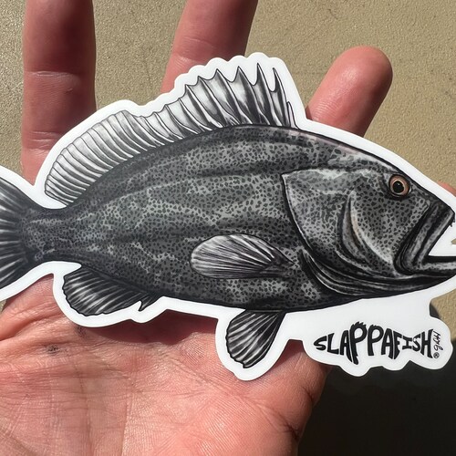 Parrot Fish Sticker 5 Inch - Etsy