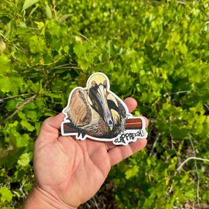 Pelican Sticker, 5 Inch - Etsy