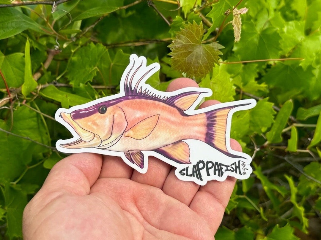 Hogfish Sticker , 5 Inch - Etsy