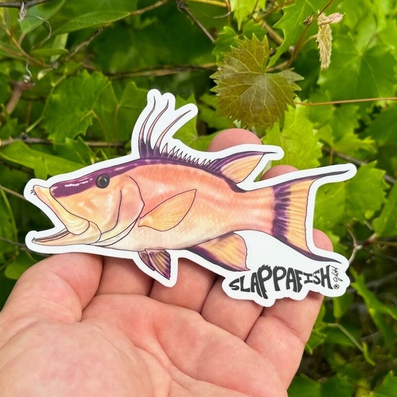 Hogfish - Etsy