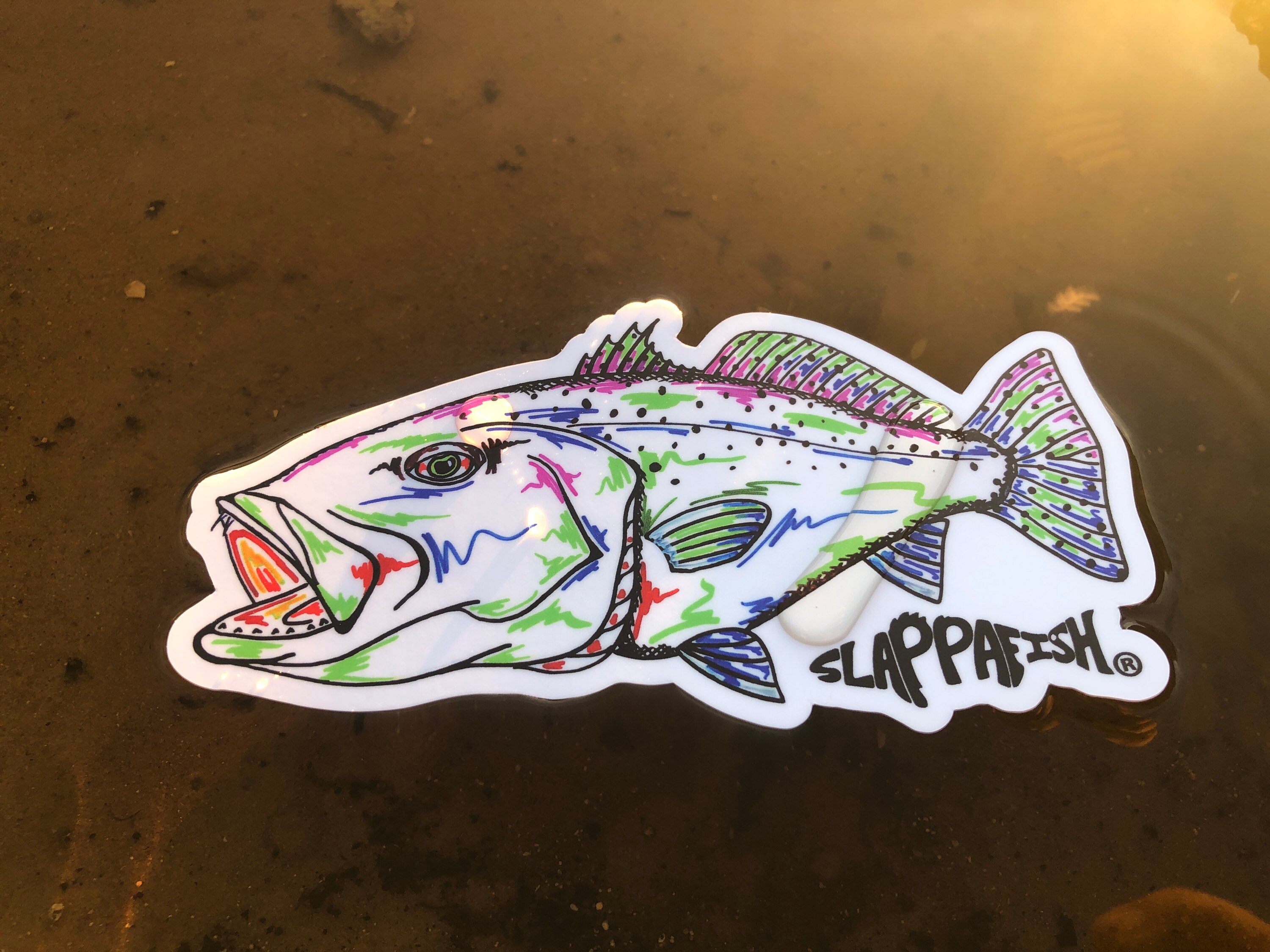 Speckled Trout Sticker 5 Inch | Etsy