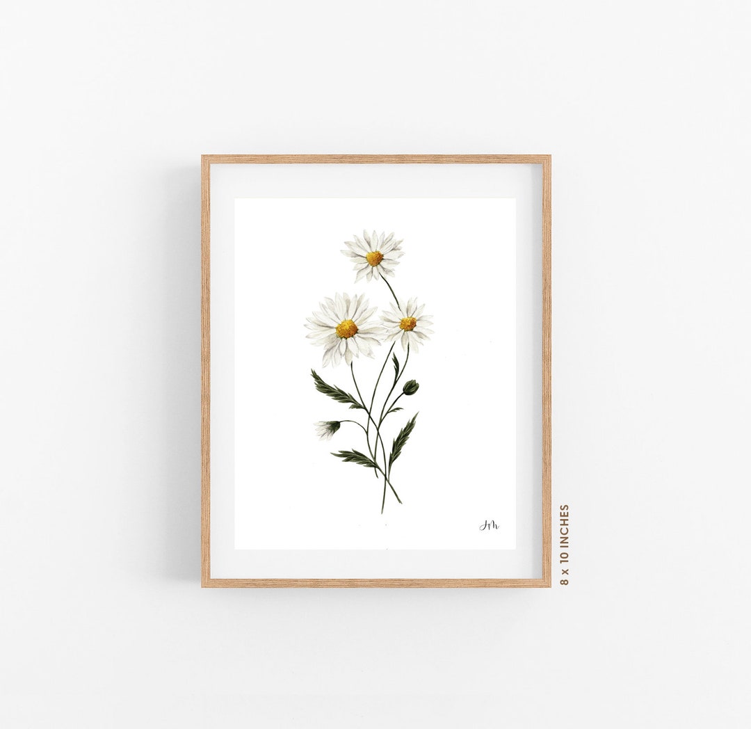 Daisy Watercolor Floral Art Print | Watercolor Daisy Painting ...