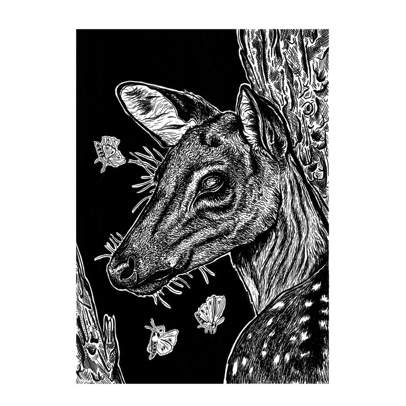 Pen and Ink Deer Art - Etsy