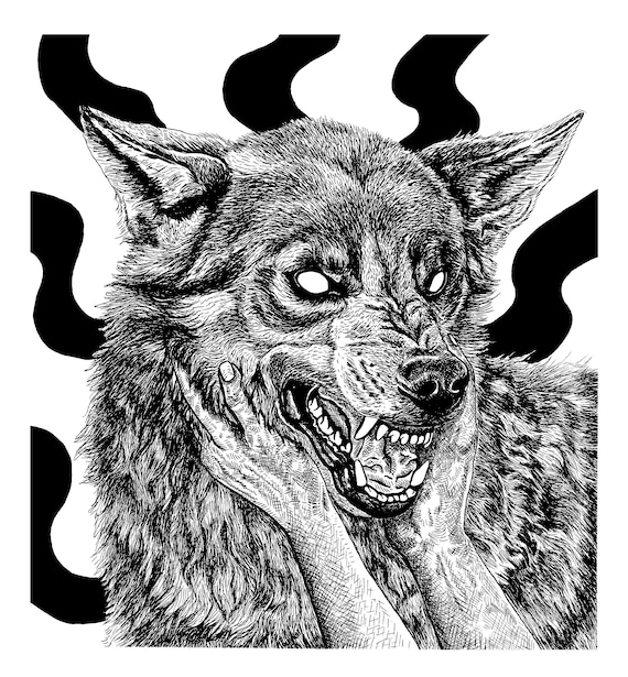 Werewolf Snarl Drawing