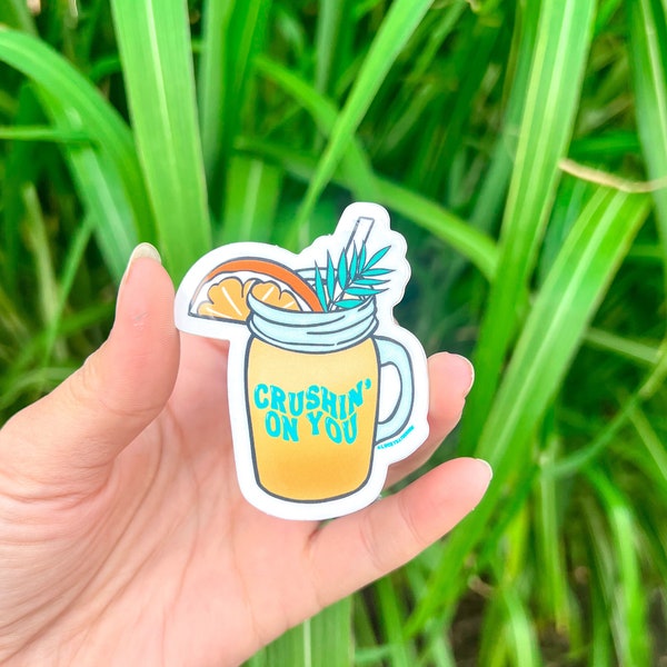 Orange Crush Sticker - Etsy