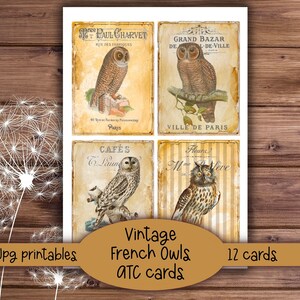 Vintage French Owls Journal Cards, ATC Cards, Ephemera and Junk Journal ...