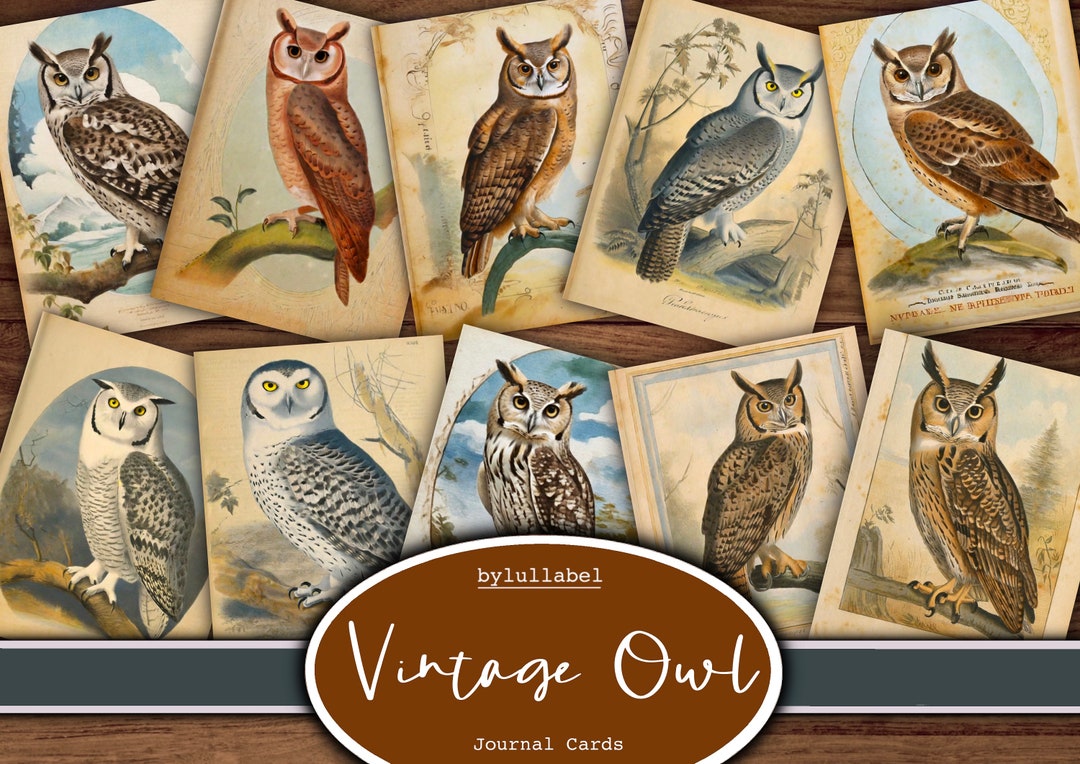 Vintage Owls Journal Cards, ATC Cards, Ephemera and Junk Journal ...