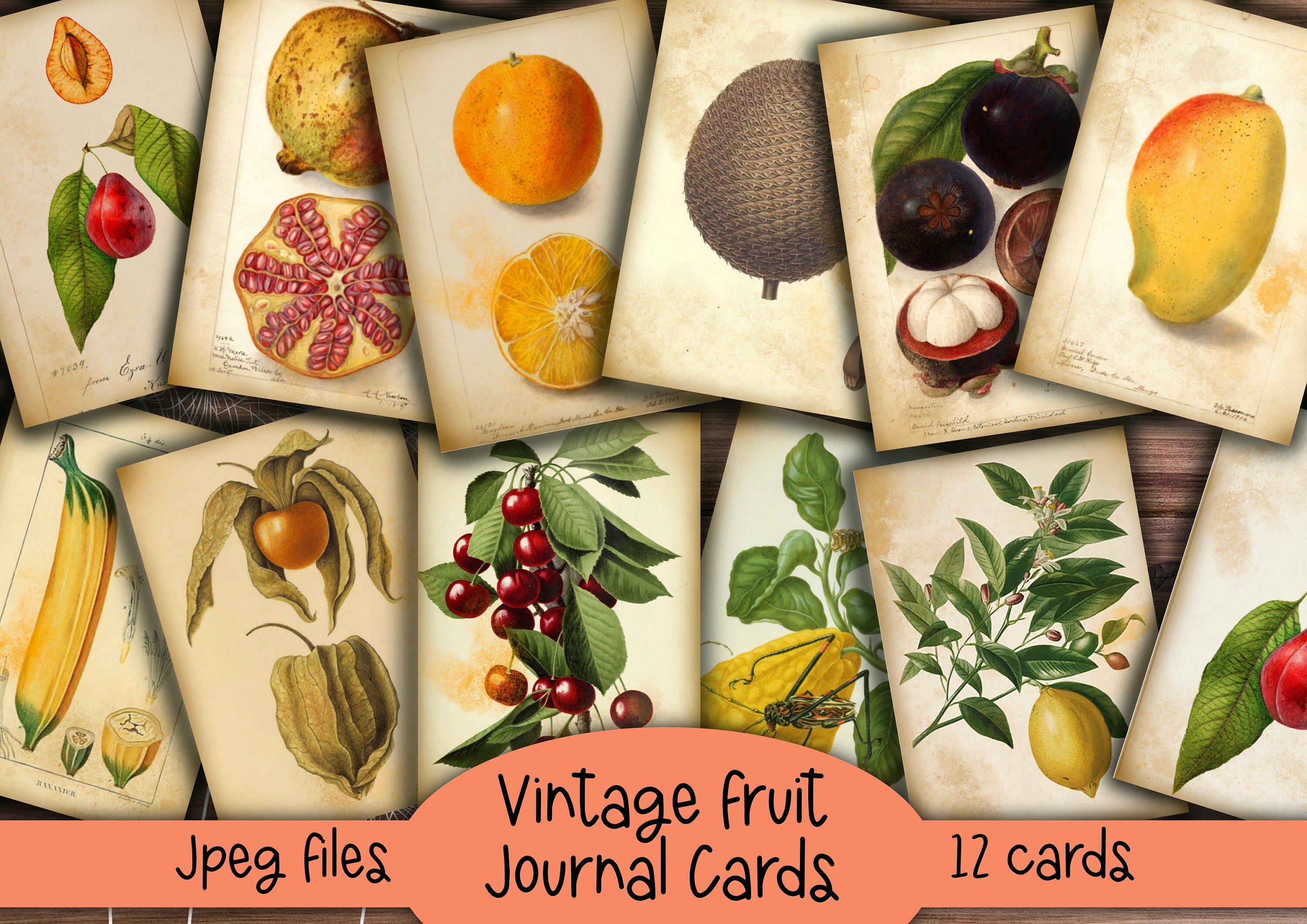 Vintage Fruit Journal Cards Tropical Fruit ATC Cards - Etsy