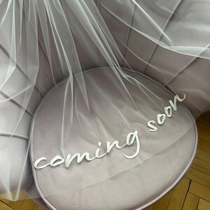Lace Edged Personalized Wedding Veil With Embroidered Phrases, Picture ...