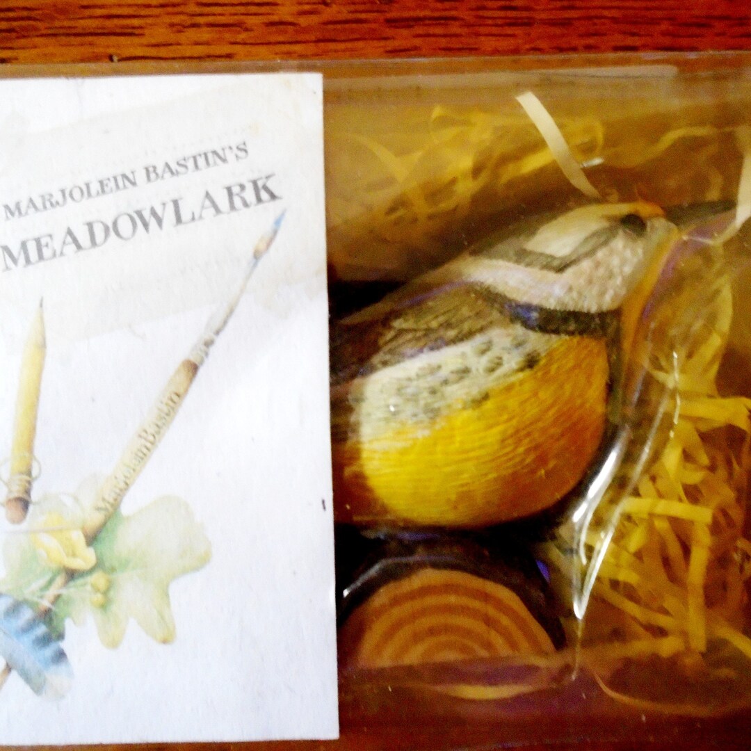 Marjolein Bastin Meadowlark Bird Nest, Nature's Sketchbook Meadowlark ...