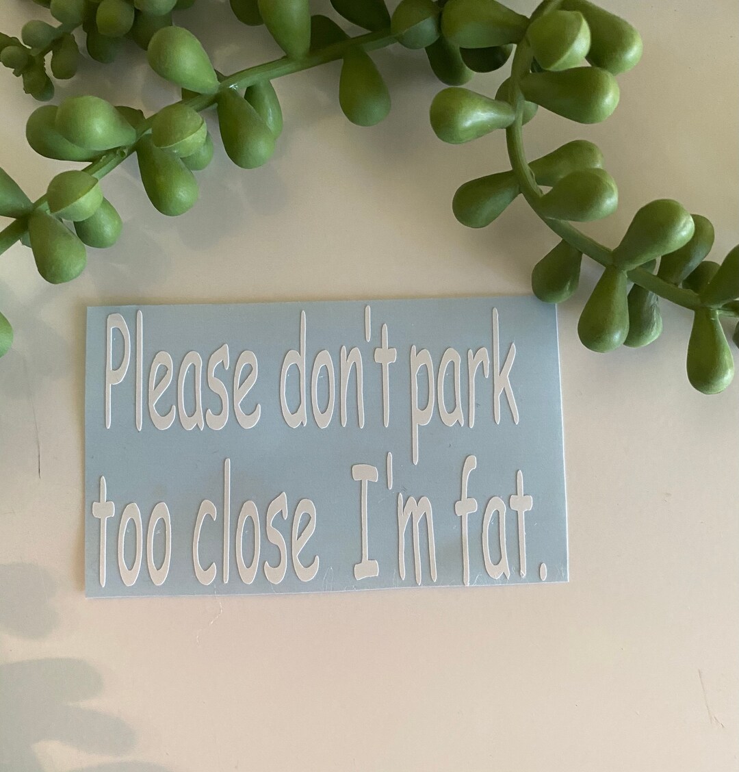 Please Don’t Park Too Close, I’m Fat. Car Decal, Bumper Sticker, Humor ...