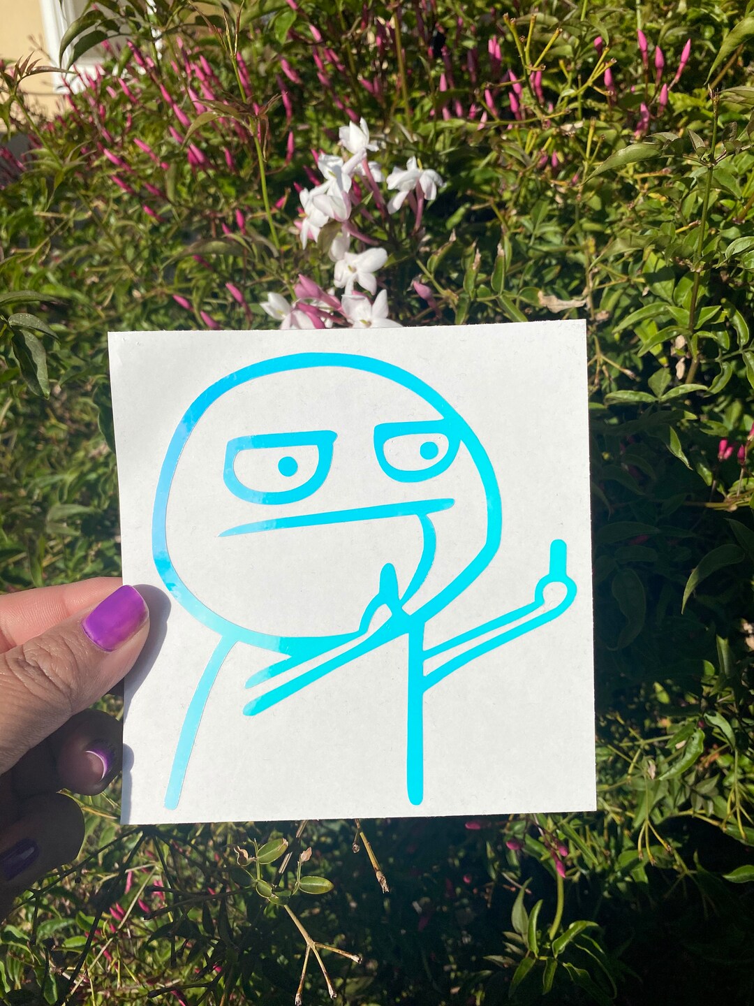 Middle Finger Meme Stickman Flip off Decal, Humor, Car Decal ...