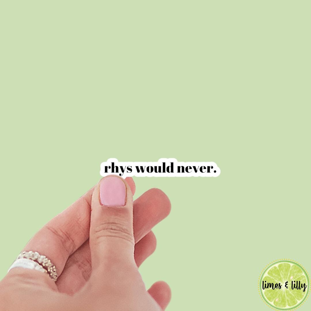 Rhys Would Never Book Boyfriend Sticker, ACOTAR, Book Inspired, Bookish ...