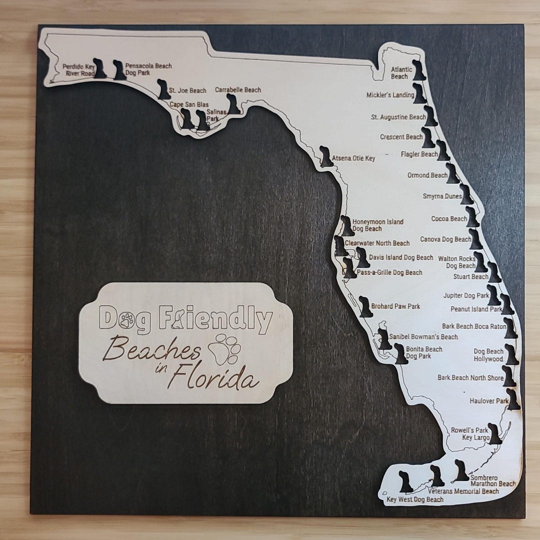 Dog-friendly Beaches of Florida Wall Art Map Marker Keepsake Gift for ...