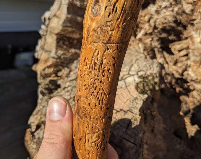 Staff of the Druid King | Wizard Staff | Walking Stick | LARP Staff ...