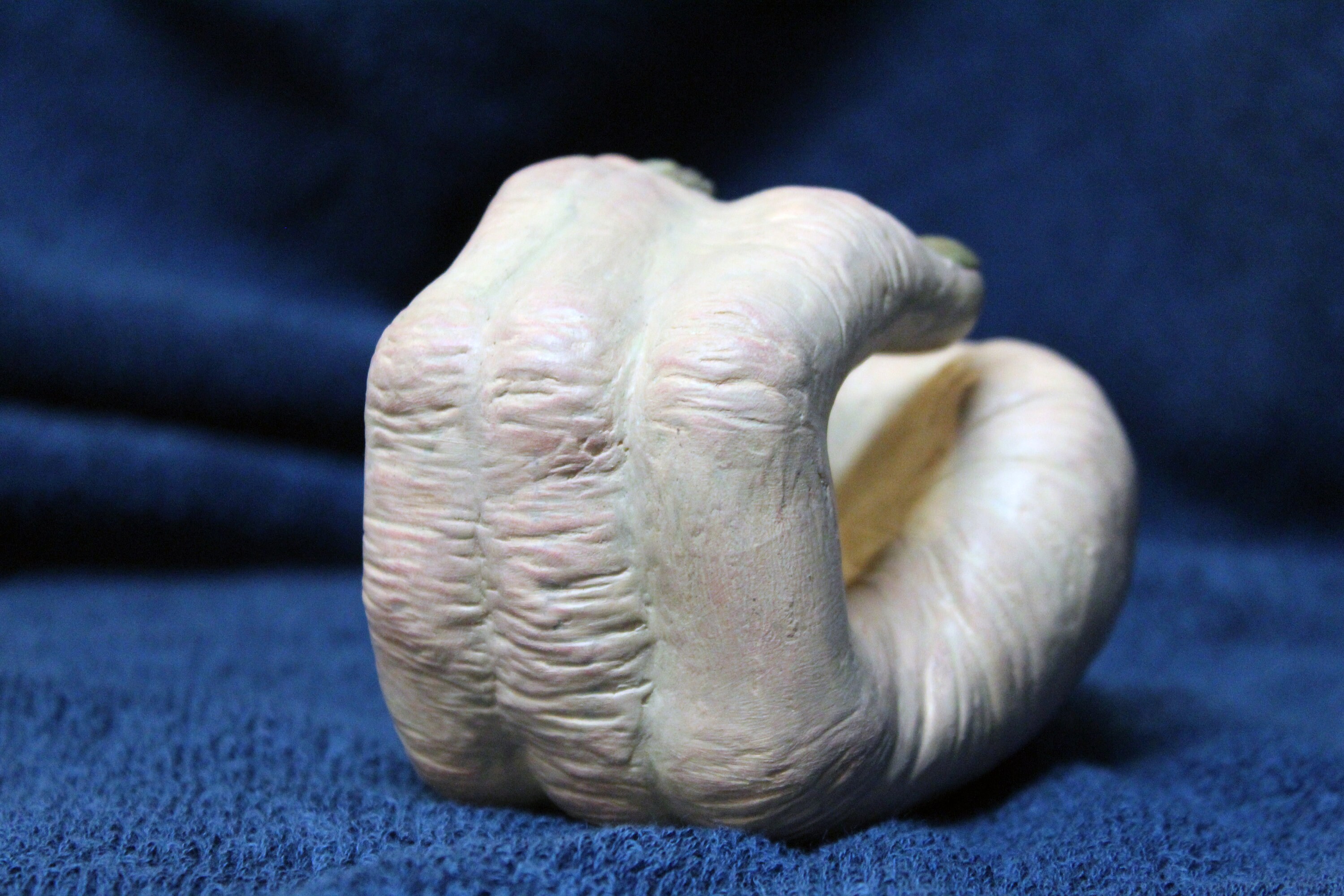 Arlene Flesh Sculpture - Etsy