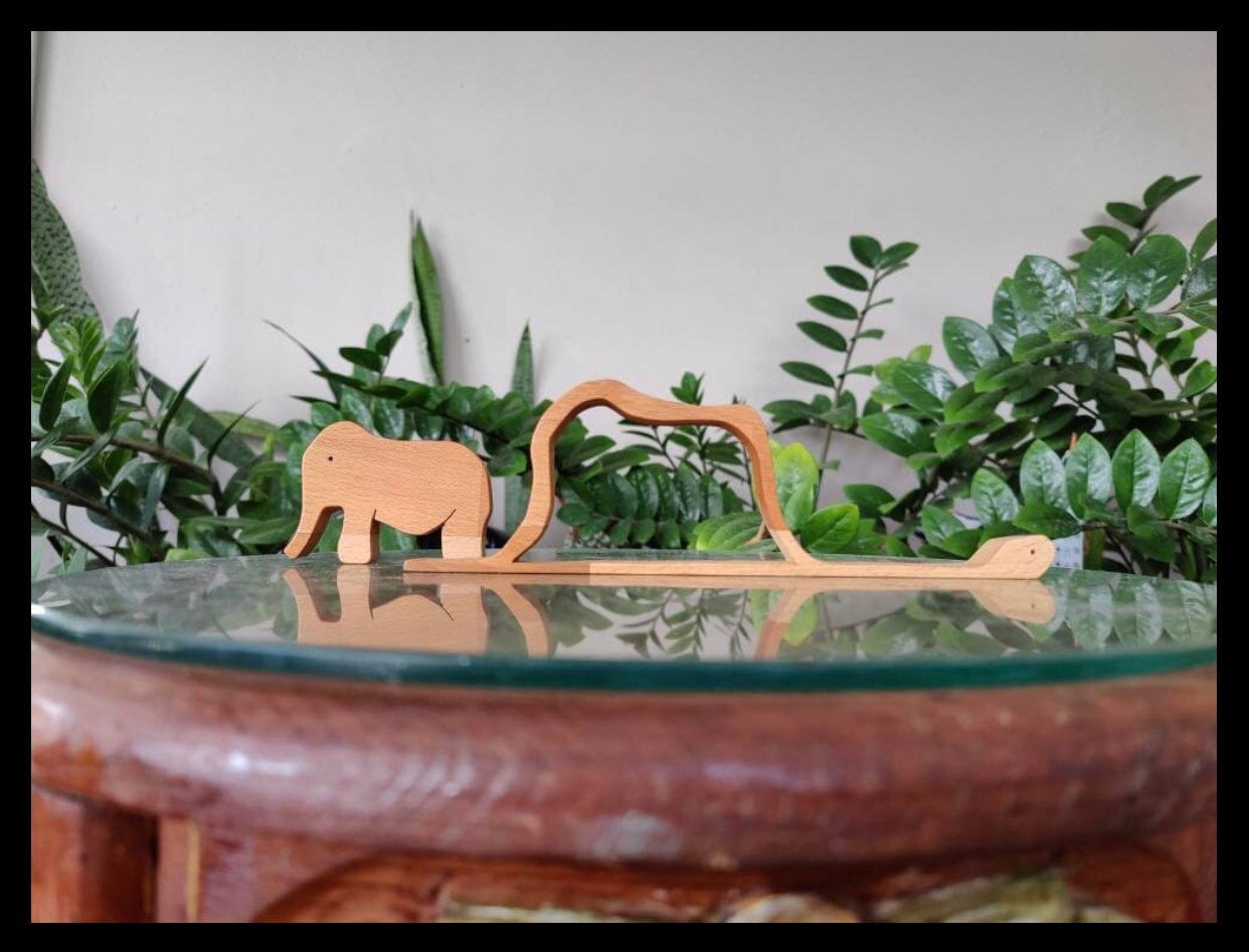 Snake Eating Elephant Little Prince