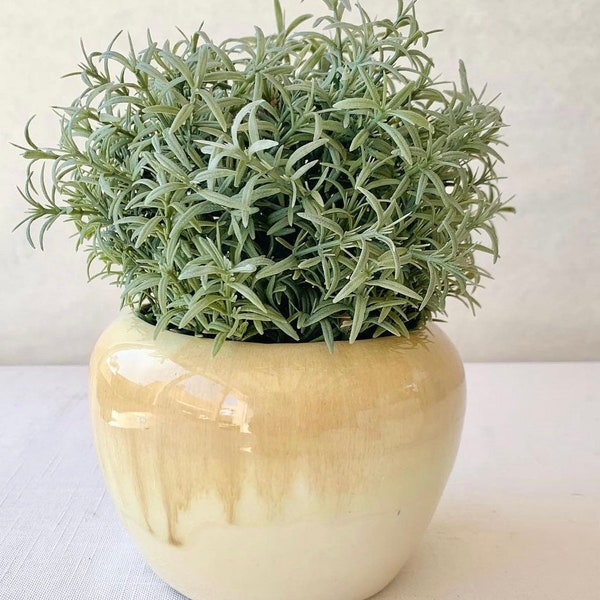 Ceramic Plant Pot - Etsy