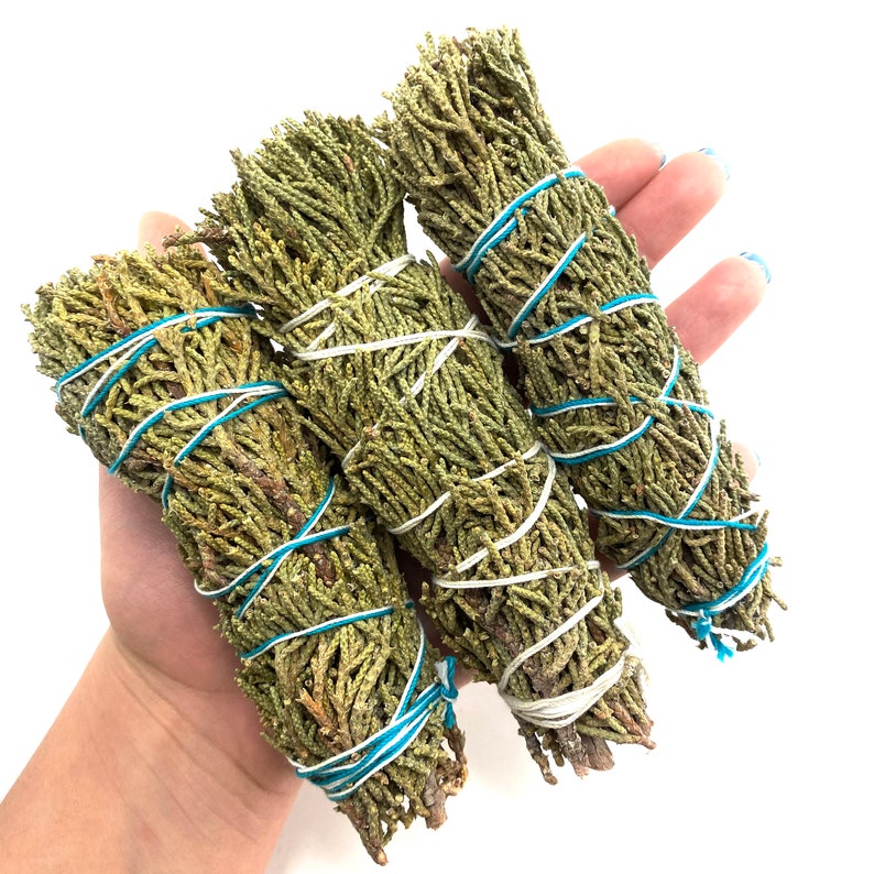 4" Juniper Sage Bundle, Juniper Smudge, Juniper Sage - Etsy
