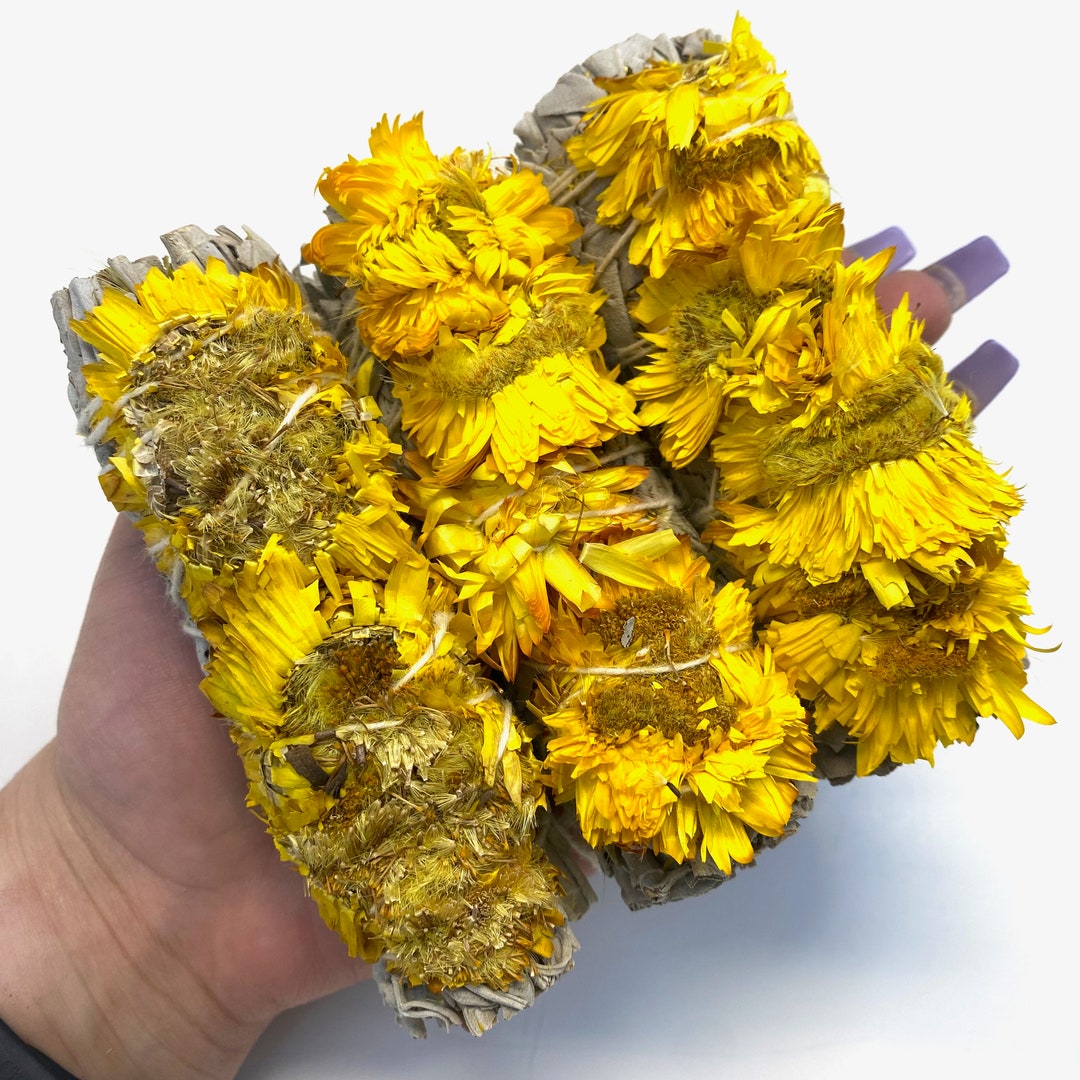 Sage With Yellow Flowers, Floral Sage, White Sage and Flowers, Ethical ...