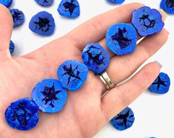 Azurite Geode - Etsy