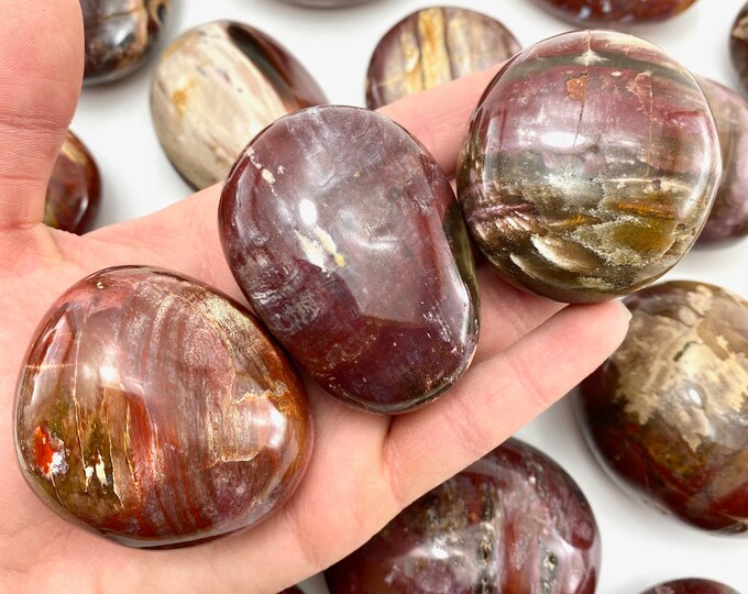 Petrified Wood Palm Stone Smooth Petrified Wood Palm - Etsy