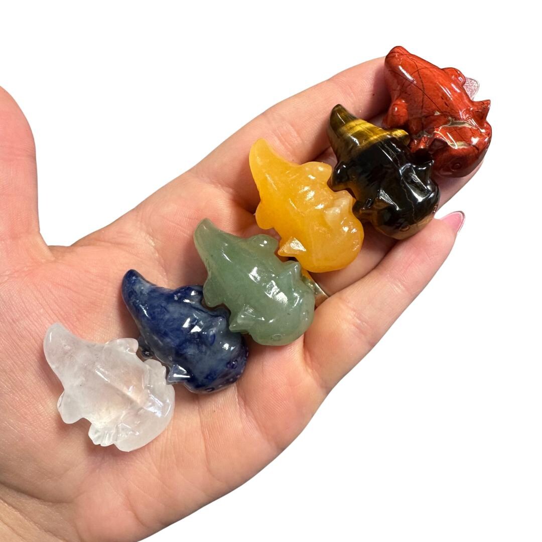 ONE Random Axolotl Carving, Gemstone Axolotl Carving, Crystal Axolotl ...