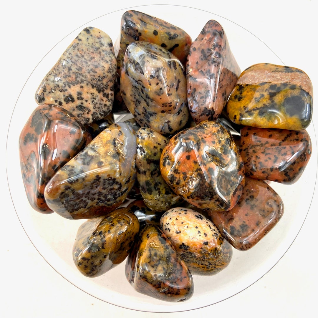 Cheetah Agate Tumble, Tumbled Cheetah Agate, Polished Cheetah Agate, P-83 - Etsy