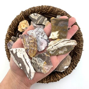 Zebra Jasper Gemstone, One Stone or a Baggy, Rough Zebra Jasper, Raw ...