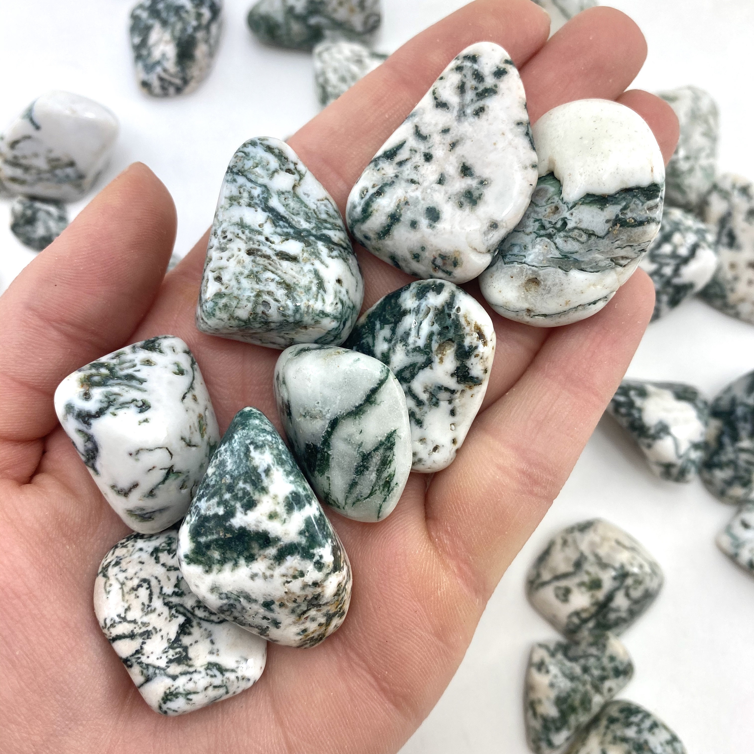 Tree Agate Stone Tumbled Tree Agate Tree Agate Pocket Stone | Etsy