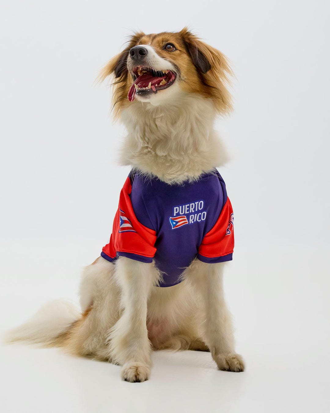 Dog Puerto Rico Official Shirt 2026 HOT SELLER PRODUCT! - Etsy