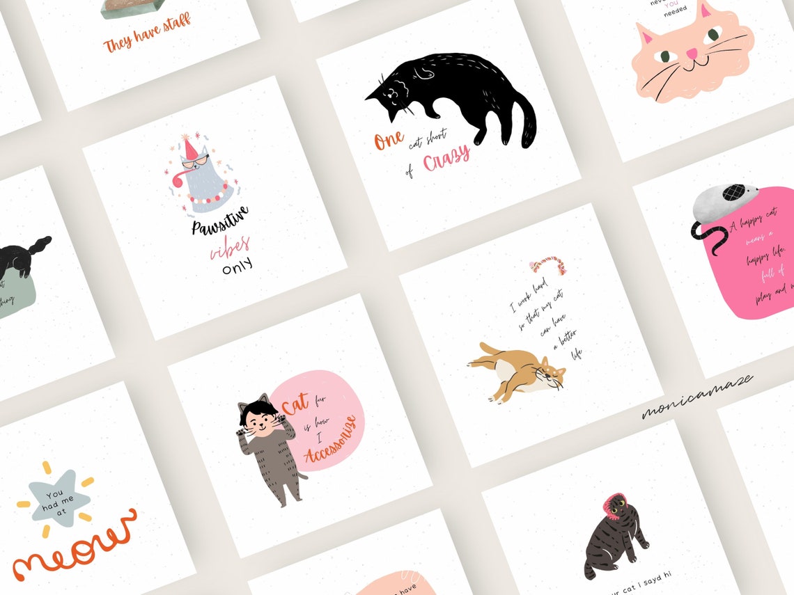 Cat Instagram Post Templates Canva Templates Templates for - Etsy