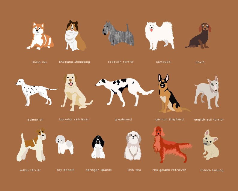 Dog Clipart Set Hand Drawn Most Popular Dog Breeds Digital PNG Vector ...