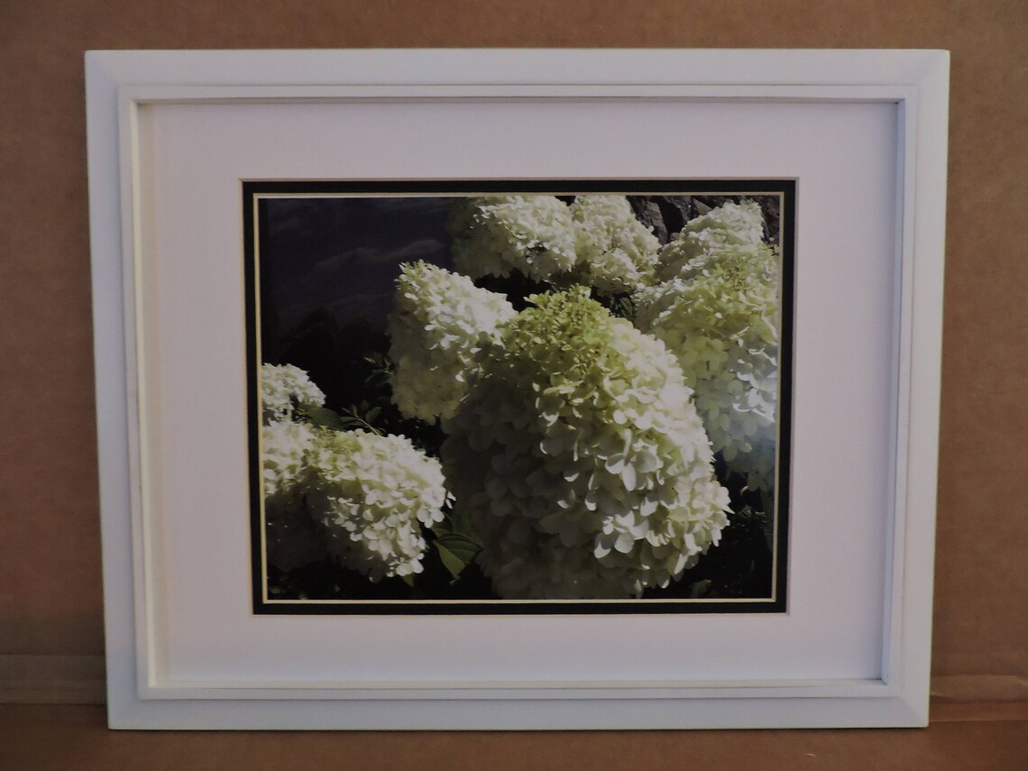 White Hydrangea Photograph, White Hydrangea Print, Hydrangea Print ...