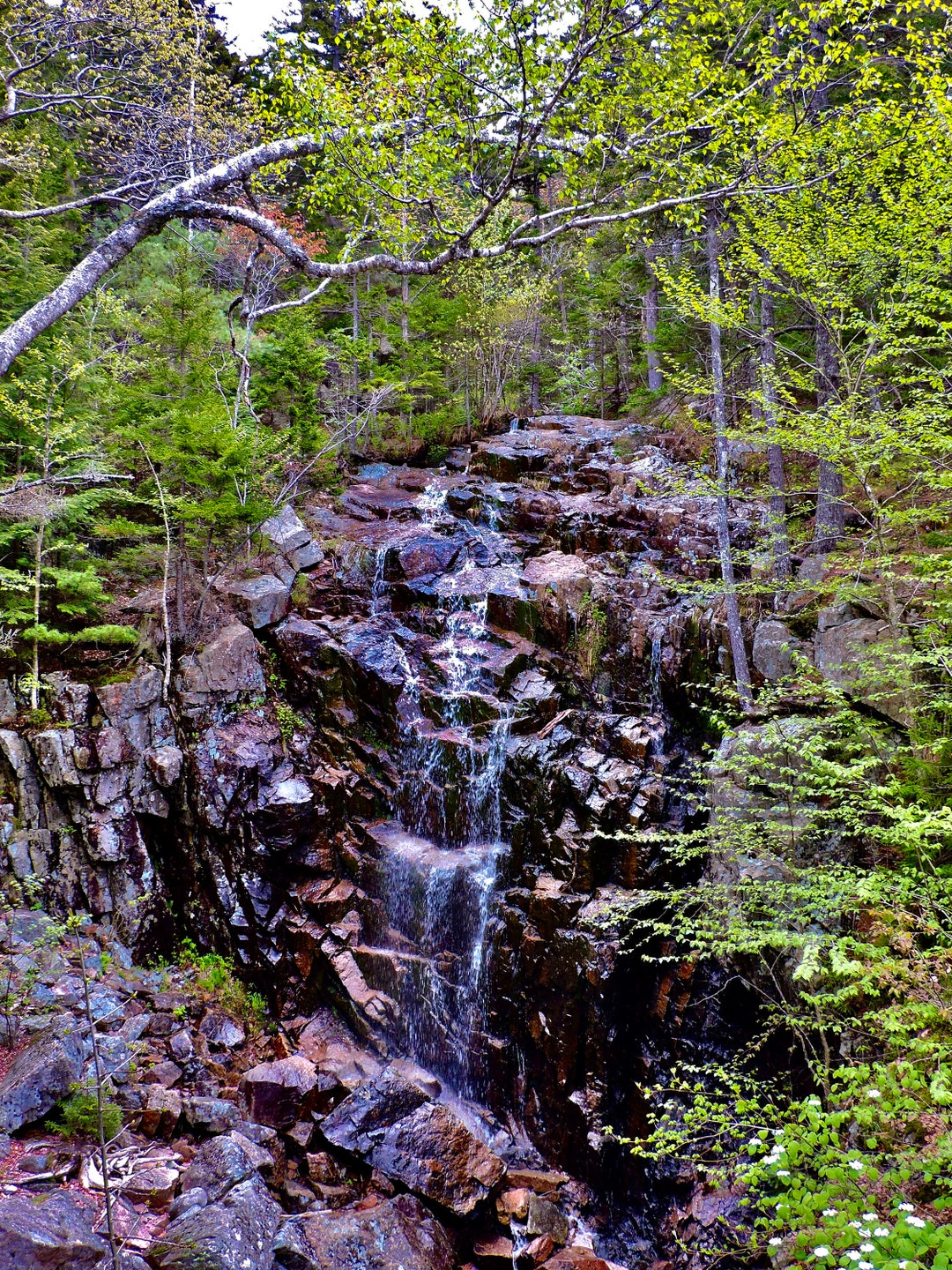 Maine Photography, Waterfall, Acadia National Park, Bar Harbor, Maine ...