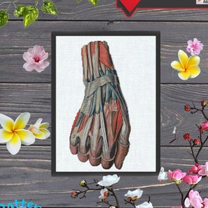 Arm Cross Stitch Pattern PDF Modern Cross Stitch Anatomy | Etsy