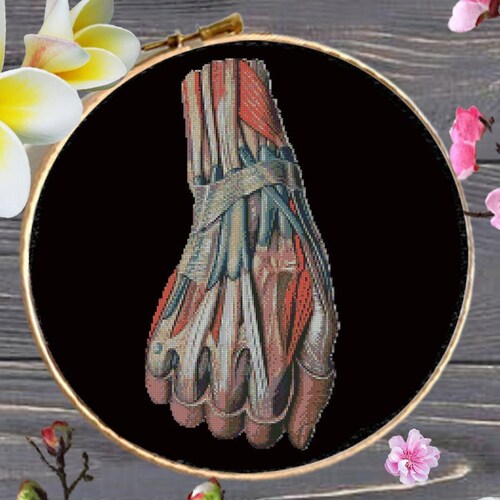 Arm Cross Stitch Pattern PDF Modern Cross Stitch Anatomy | Etsy