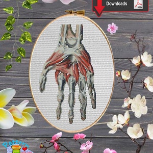 KITS Structure Arms 124 Cross Stitch Anatomical Anatomy Cross Stitch ...