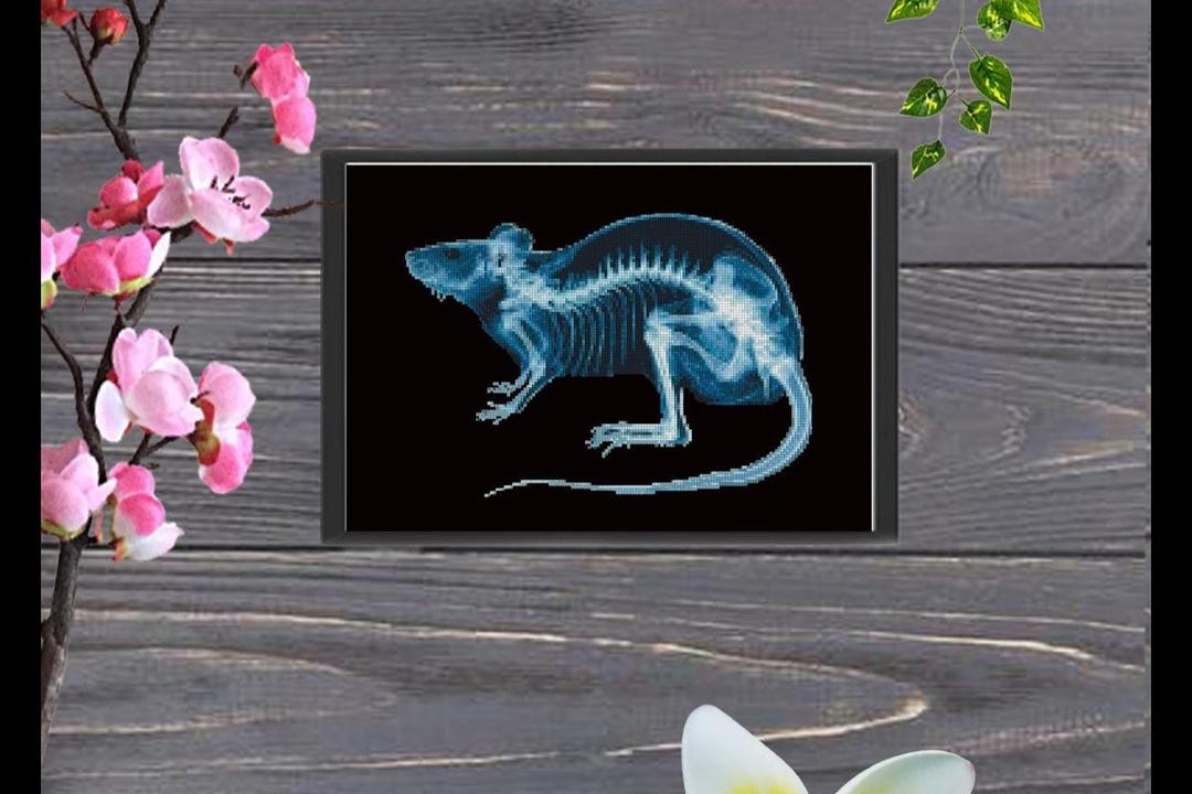 Rat, Rodent Anatomical Cross Stitch Pattern, Skull, Needlepoint ...